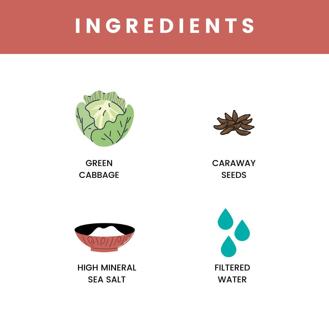 Classic Fermented Sauerkraut with Caraway Seeds, 3 Pack