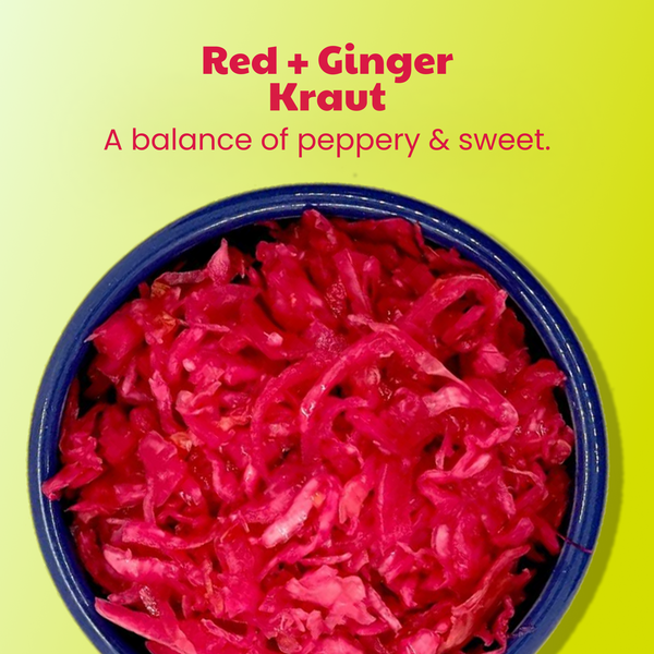 Red Cabbage + Ginger Fermented Sauerkraut | Olive My Pickle